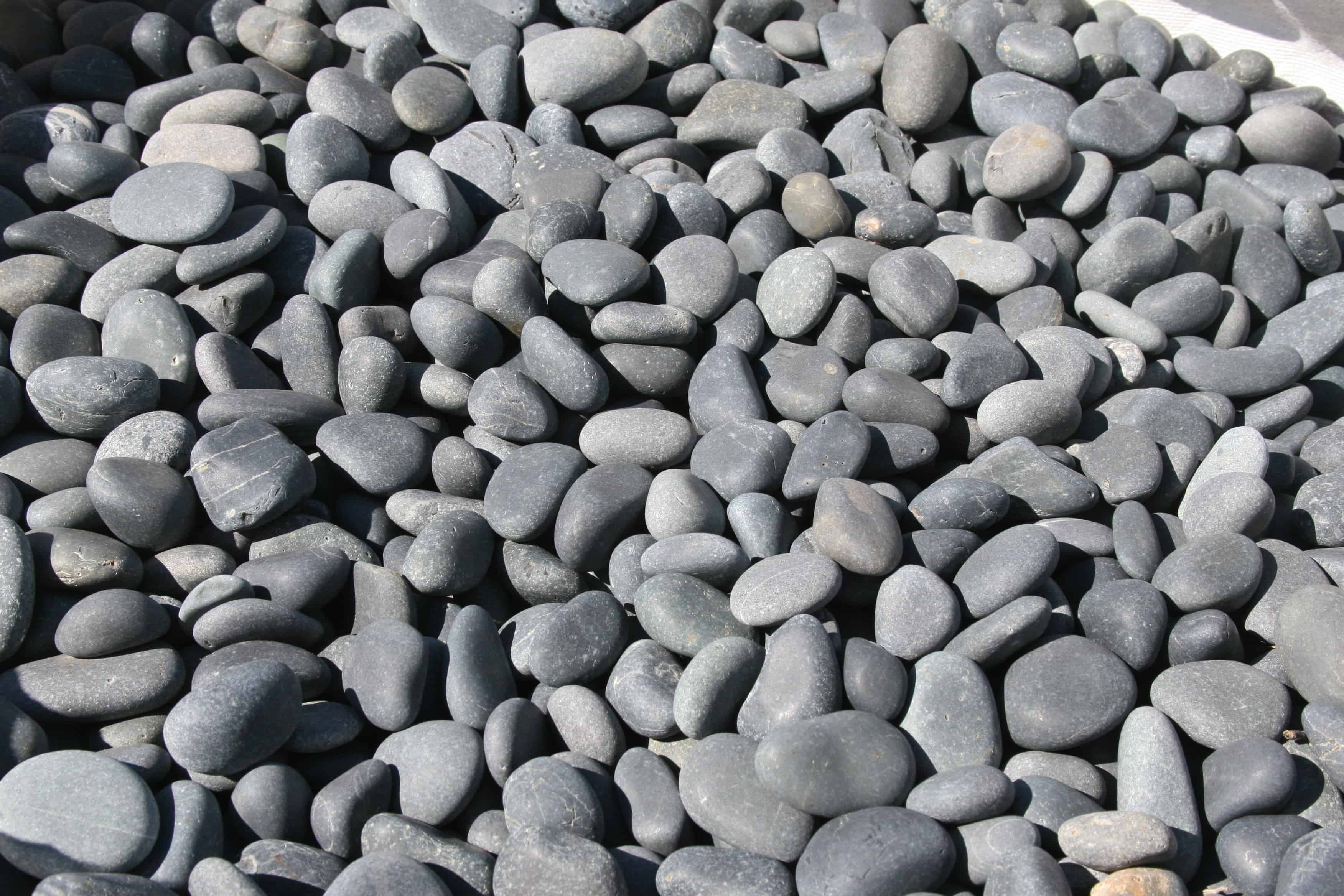 Mexican Beach Pebbles | The DirtGuy
